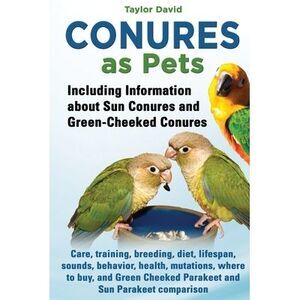 Taylor David | Other | Conures As Pets Including Information About Sun ...